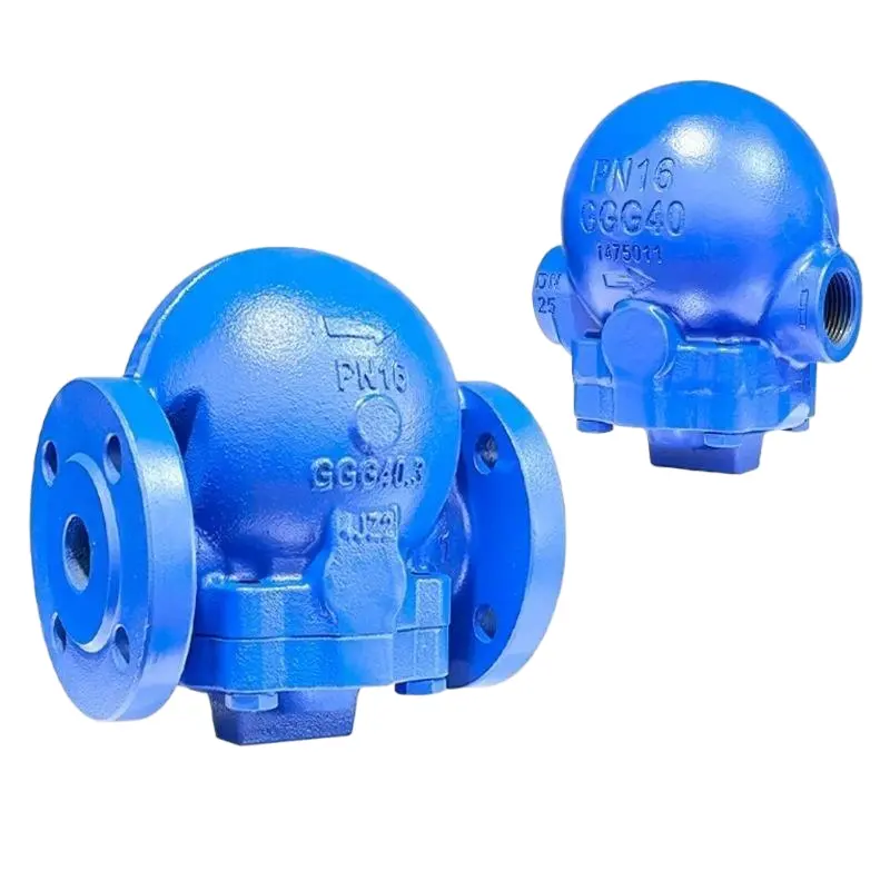 DELCO FT44-10 Lever Ball Float Steam Trap, DN25 PN16, GGG40 Ductile ...