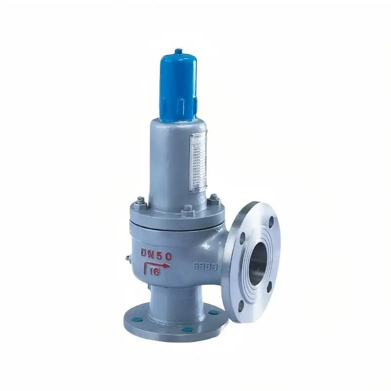 Enclosed Spring Safety Valve - Flanged Pressure Relief for Harmful ...