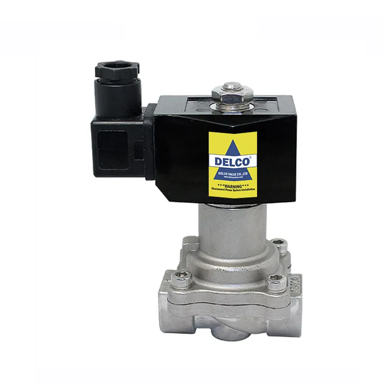 SS Piston Type Solenoid Valve DN15-DN50 180°C | DELCO - DELCO Valve