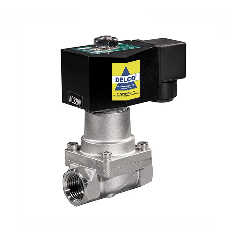 SS Piston Type Solenoid Valve DN15-DN50 180°C | DELCO - DELCO Valve