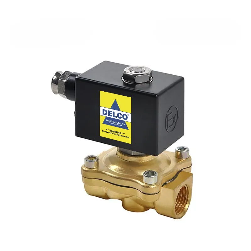 Brass Explosion-Proof Solenoid Valve DN8-DN100 0-10 Bar | DELCO - DELCO ...